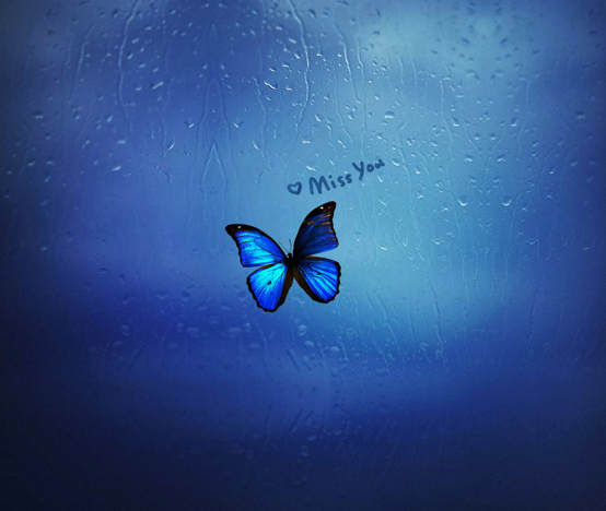 benty-fields - My profile